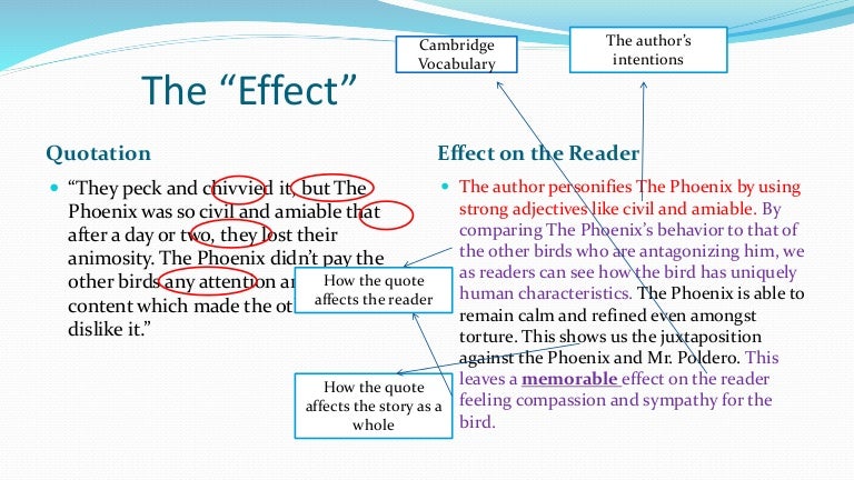 The Effect on the Reader