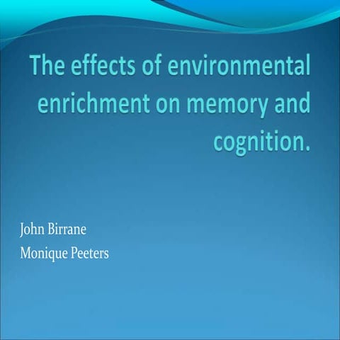 The Effects Of Environmental Enrichment | PPT