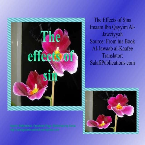 The effects of sin | PPT