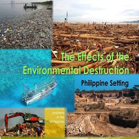 The effects of the environmental destruction | PPTX