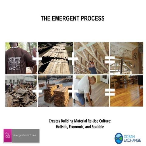 The Emergent Process | PPT