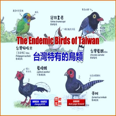 The Endemic Birds of Taiwan (台灣特有的鳥類).ppsx