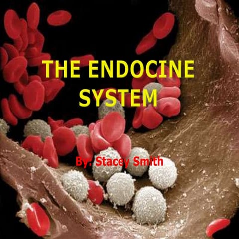 The endocine system | PPTX | Thyroid Disorders | Endocrine and ...