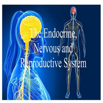 The Endocrine, Nervous and Reproductive System.pptx