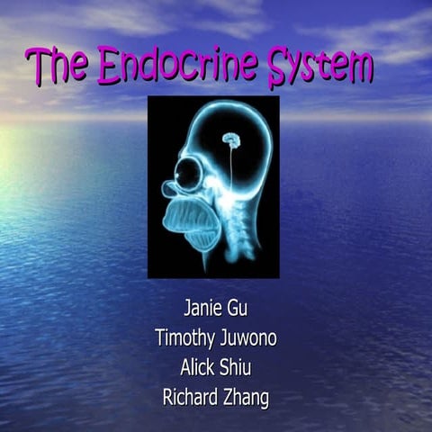The+Endocrine+System | PPT