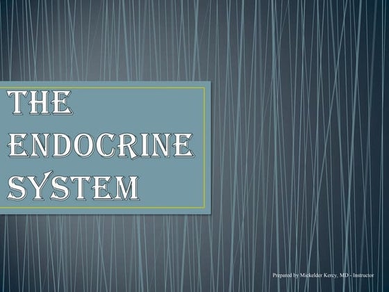 Endocrine system | PPT