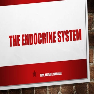 The endocrine system | PPT
