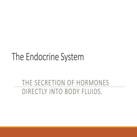 The Endocrine System.ppt