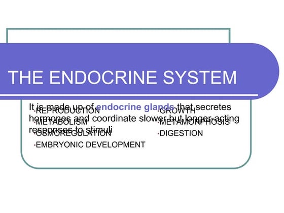 Seminar On Endocrine System 1 | PPT