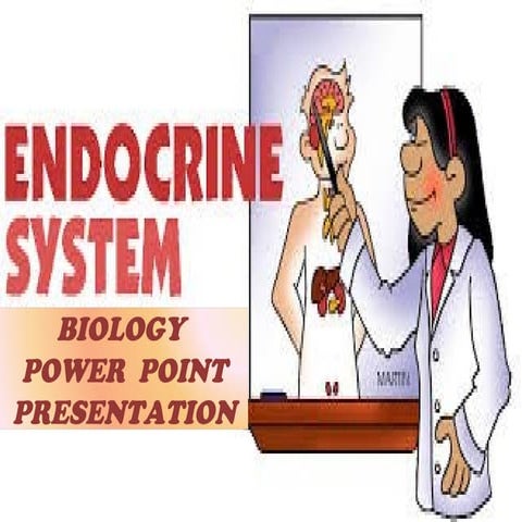 The endocrine system | PPT | Thyroid Disorders | Endocrine and ...
