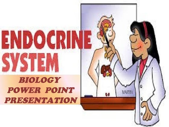 Endocrine glands | PPT