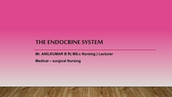 Endocrine System Anatomy | PPT