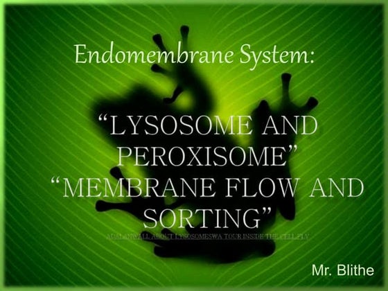 Peroxisomes | PPT