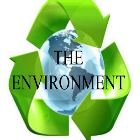 The environment | PPTX