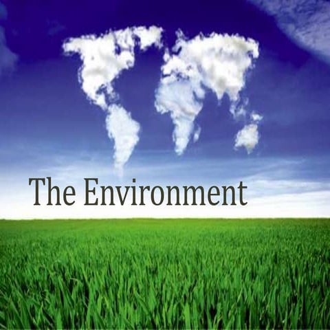 The environment pp wednesday | PPTX