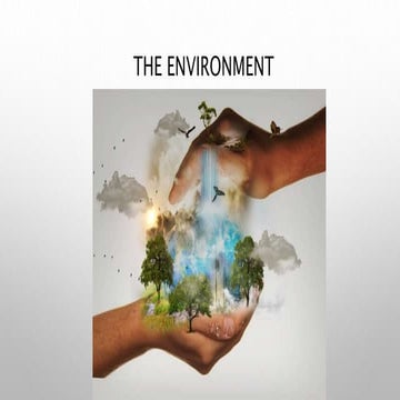 The Environment Presentation about momo.pptx