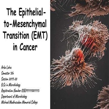 The epithelial to-mesenchymal transition (EMT) in cancer-metastasis | PPTX