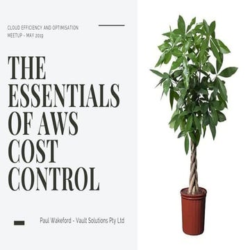 AWS Cost Optimisation Made Easy | PDF
