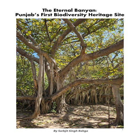 The Eternal Banyan - Punjab's First Biodiversity Heritage Site. .pdf