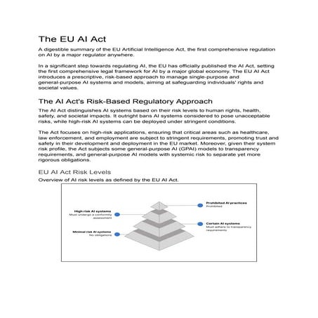 EU AI Act: Requirements for High-Risk AI Systems and FRIA.pdf