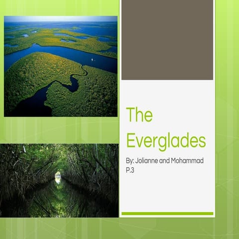 The everglades PERIOD 3 | PPT