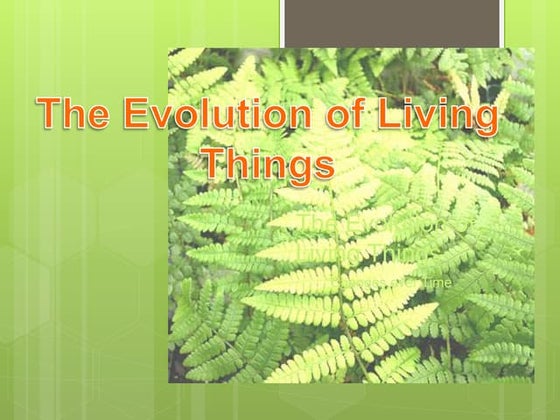Evidence of evolution | PPT