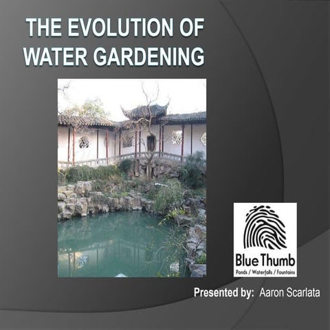 The evolution of water gardening | PPTX