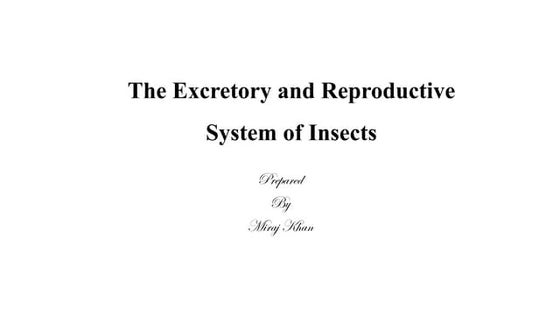 Excretory system of Cockroach.pptx | Chemistry | Science