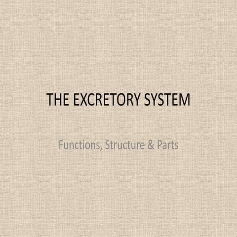 The excretory system | PPTX