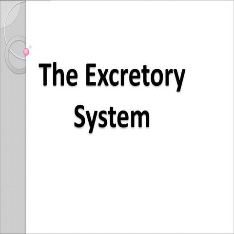 The excretory system | PPTX