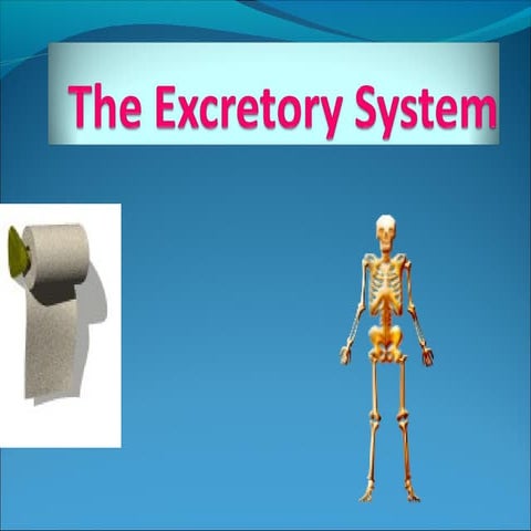 The excretory system | PPT