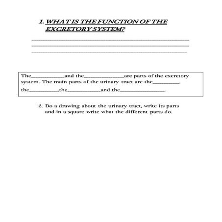 The excretory system | PDF