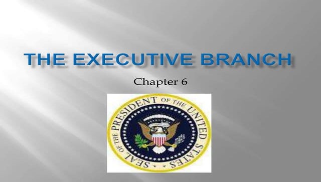 Executive Branch Definition