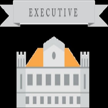 THE EXECUTIVE BRANCH AND LOCAL GOVERNMENT.pptx