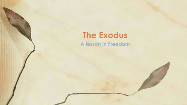 Moses and the exodus pgp | PPT