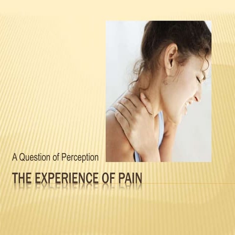 The experience of pain | PPTX