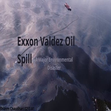 The Exxon Valdez Oil Spill Project .pptx