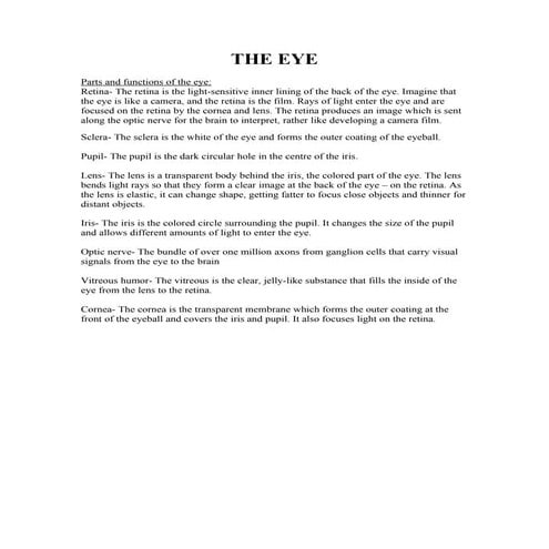 The eye | PDF