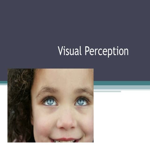 The eye | PPT | Eye and Vision Conditions | Diseases and Conditions