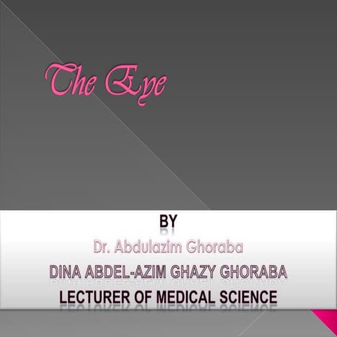 Medical Terminology Part 1; Prefixes, Suffixes, Combining Forms | PDF