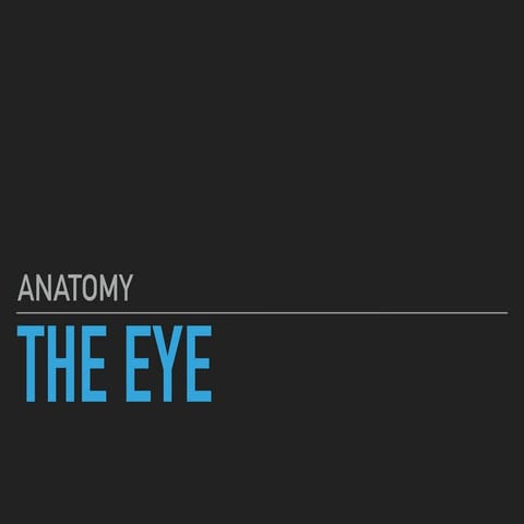 The eye | PDF