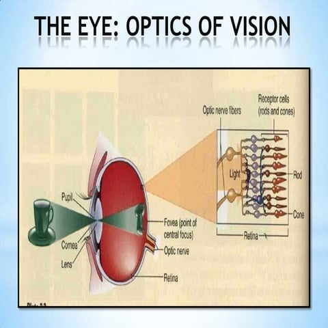 Refractory Media Of Eye S4 March 10 | PPT