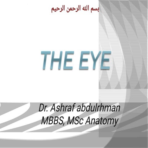 The Eye 2.pdf