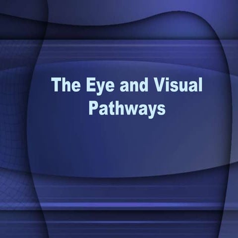 The eye and visual pathways for moodle | PPT