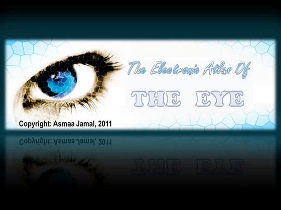 Histology of eye | PPT