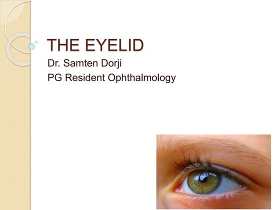 Anatomy of eyelid | PPT