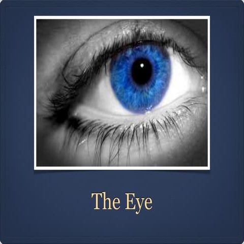 All About Eyes – Senses and Body Awareness for Early Years (Nursery to ...