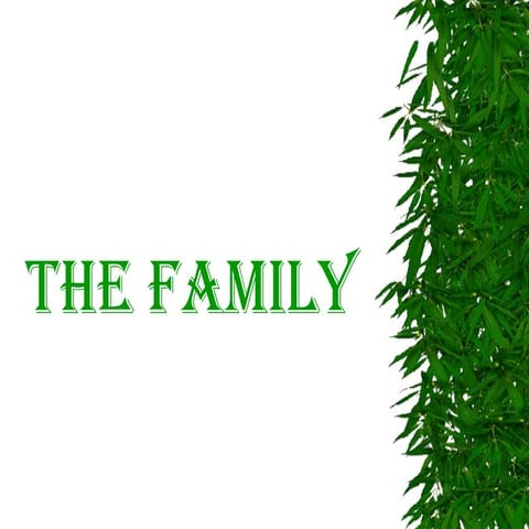 Family Members: Roles and responsibilities | PPT