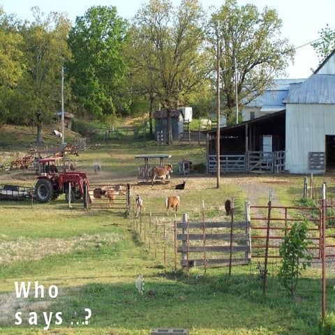The farm | PPT | Agriculture | Industries