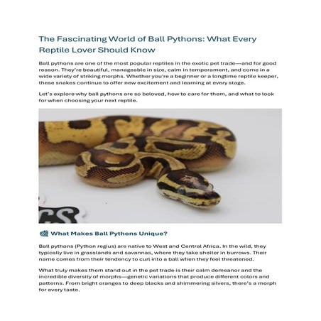The Fascinating World of Ball Pythons What Every Reptile Lov.pdf